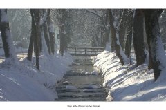 Aktuelles - Gemeinde Eichenau